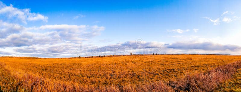 Panorama of the Autumn Field . Beautiful Scenery. Autumn. Panorama ...