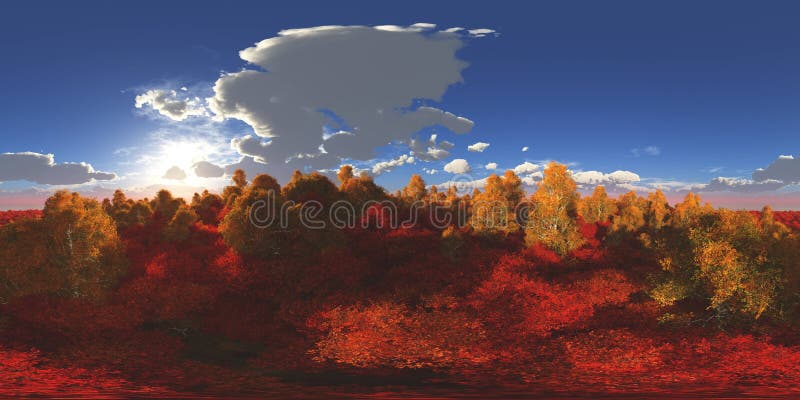 Beautiful Autumn Forest Against the Backdrop of the Setting Sun among ...