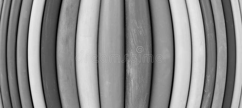 Panorama Barrel Distortion Black and White Wood Panel Timber Texture ...