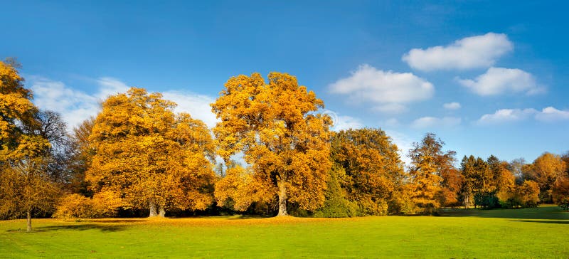 Panorama. Beautiful Autumn Trees Stock Image - Image of october ...