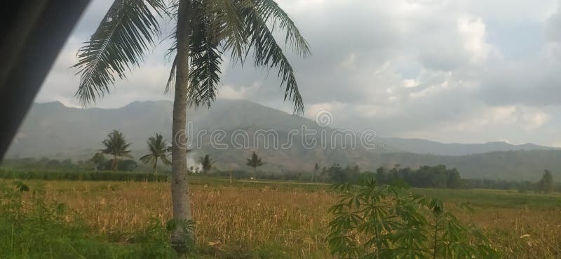 Panorama/beautiful and Enchanting Views of Mountains and Rice Fields ...