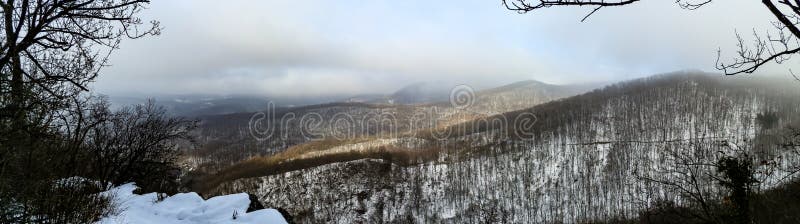 Panorama of Beautiful Winter Forest Hidden in Mist Stock Image - Image ...