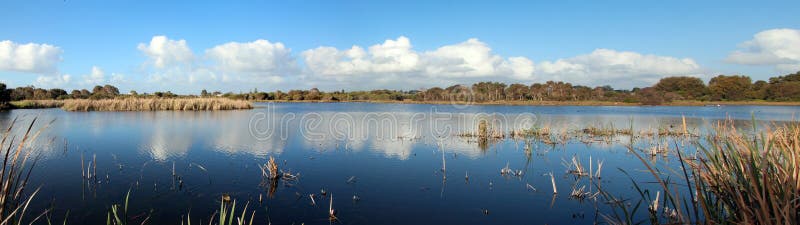 Wetlands at Big Swamp Bunbury Western Australia in Late Winter. Stock ...