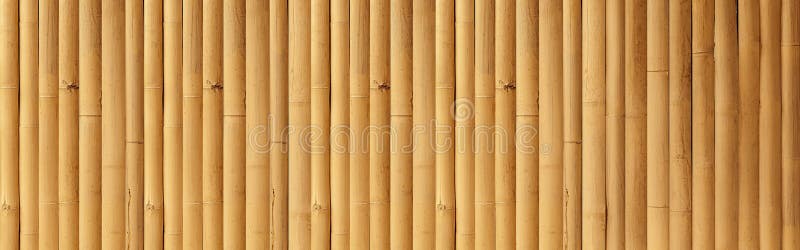 Brown Old Bamboo Fence Texture and Background Seamless Stock ...