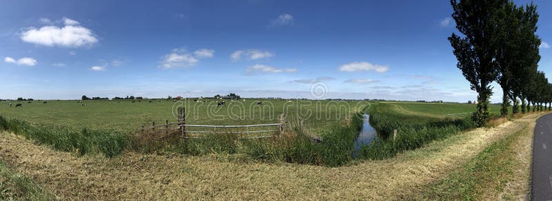 Panorama from the Countryside of Friesland Stock Image - Image of cows ...