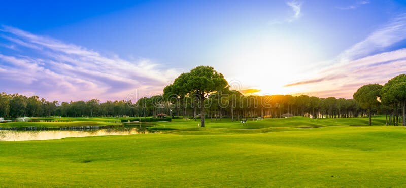 Panorama of Dawn Over a Golf Course with a Pine Forest in the ...