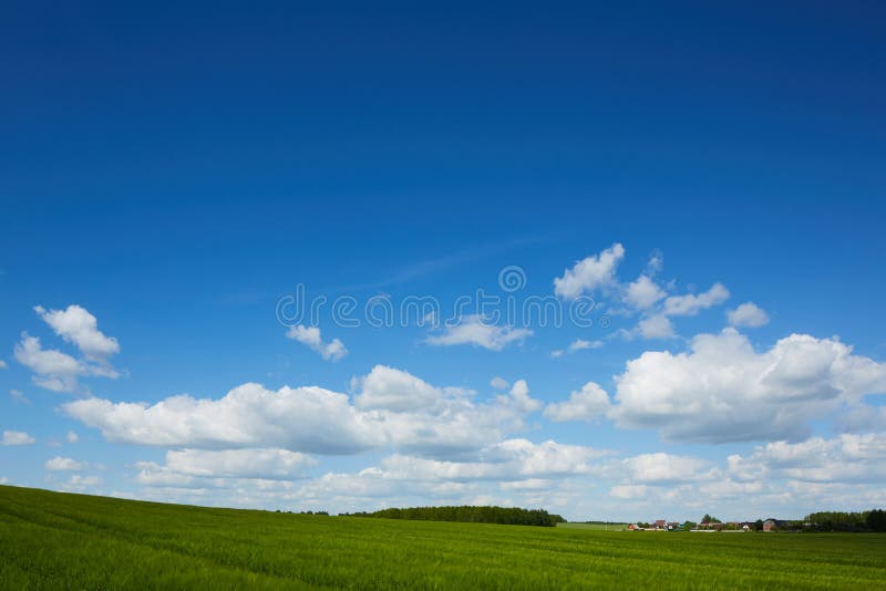 Panorama of Daytime Sky with Clouds. Sky Background . Daylight Sky with ...