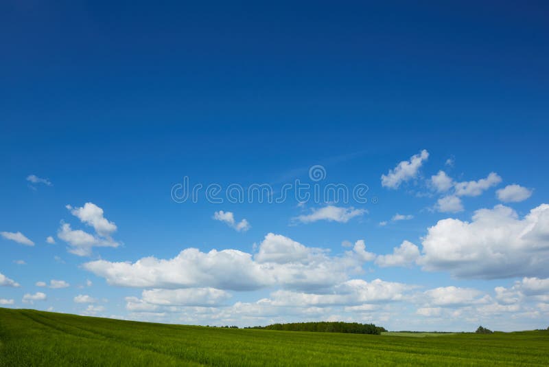 Panorama of Daytime Sky with Clouds. Sky Background . Daylight Sky with ...