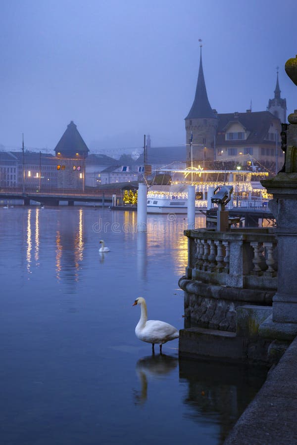 Panorama de la lucerna imagen de archivo. Imagen de alfalfa - 189340395