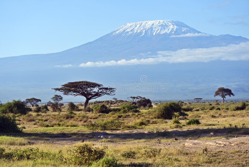 Paysage Africain De La Savane Photo stock - Image du ciel, nature: 45608646