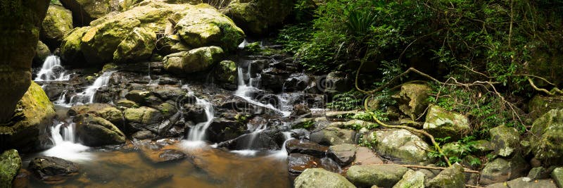 Panorama De Parc National De Springbrook De Pouce 36x12 Photo stock ...