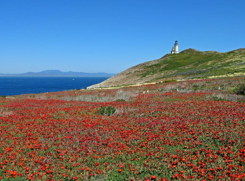 Panorama De Phare D'Anacapa Image stock - Image du île, rouge: 5133087