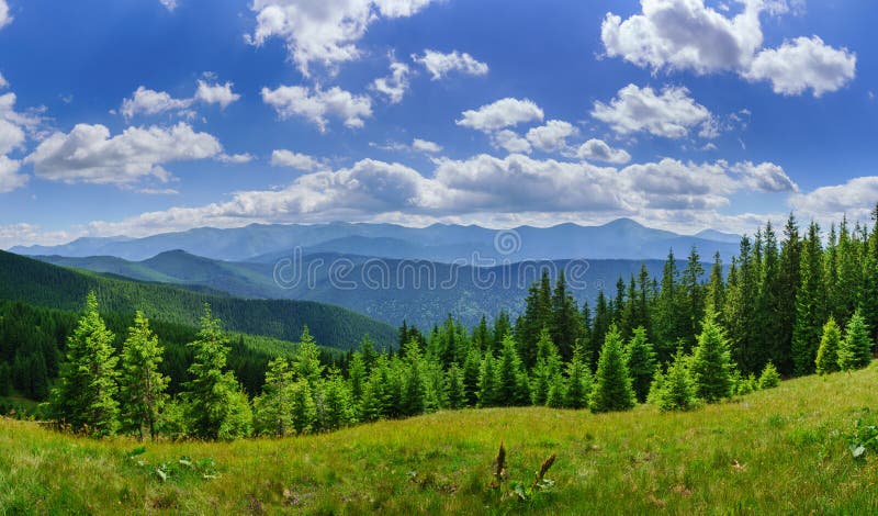 Il Panorama Delle Colline Dell'estate Abbellisce Con I Giacimenti Di ...