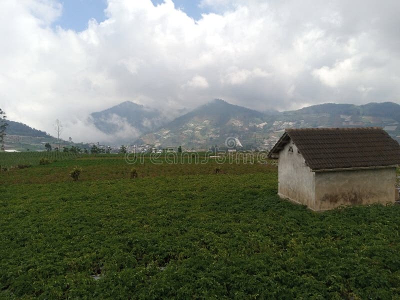 Panorama in Dieng stock image. Image of plateau, field - 266214491