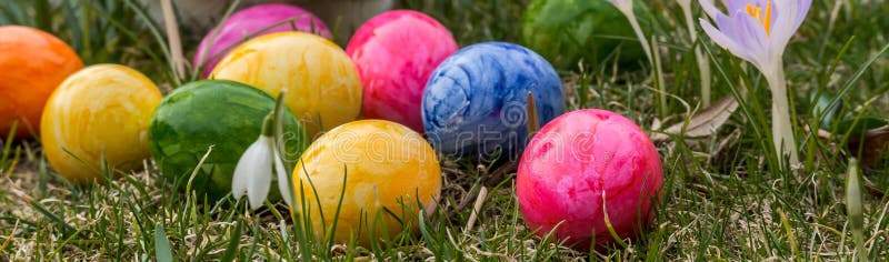 Panorama Easter Eggs in the Spring Stock Photo - Image of traditional ...