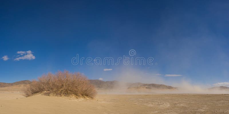 Empty Sand Desert with Blowing Wind Stock Photo - Image of growth ...