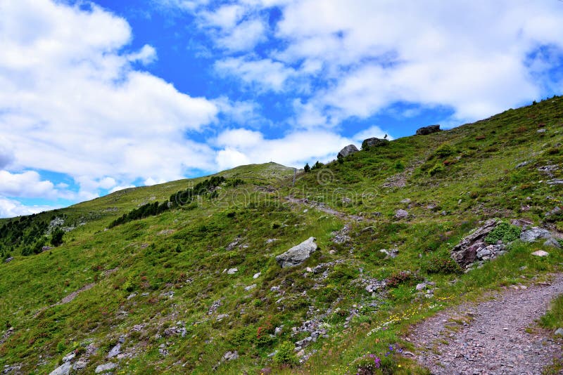 Panorama En La Trayectoria Al Lago Rodella Foto de archivo - Imagen de ...