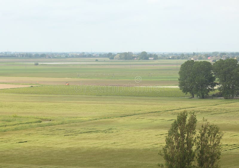 Panorama of Endless Cultivated Fields Stretching Towards the Horizon ...
