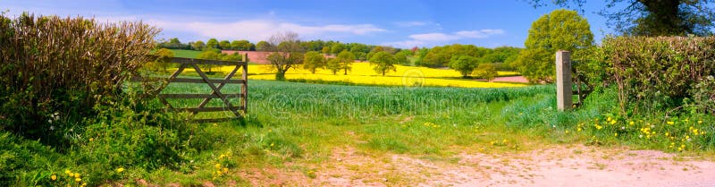 Panorama of English fields stock photo. Image of green - 2372306
