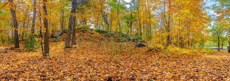 Panorama of Fall Forest and Granite Rocks Stock Image - Image of yellow ...