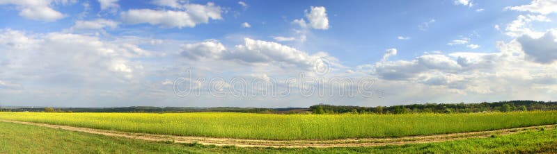 Green field panorama stock photo. Image of grass, horizon - 5600266