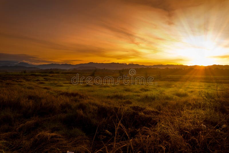 Panorama of Field on Bright Sunset Stock Image - Image of meadow ...
