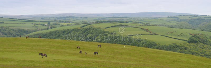 Panorama of Field in Cornwall, England Stock Image - Image of nature ...