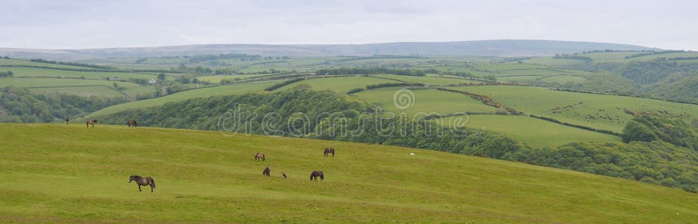 Panorama of Field in Cornwall, England Stock Image - Image of nature ...