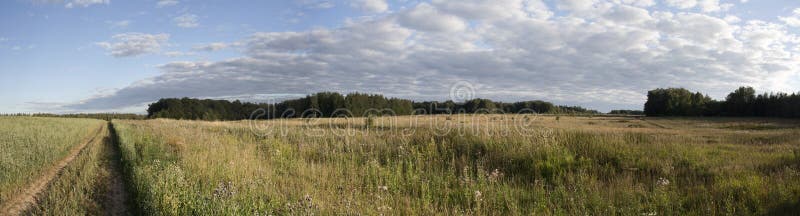 Panorama of Field and Forest Stock Photo - Image of countryside ...