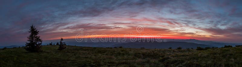 Grassy Ridge, Catawba Rhododendron, Roan Mountain State Park Stock ...