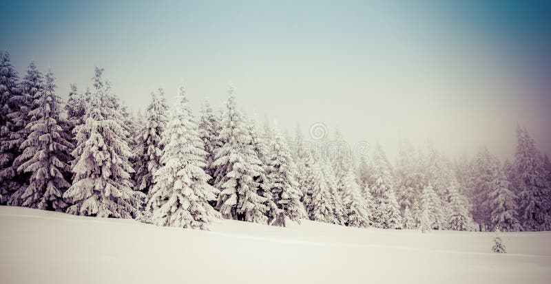 Panorama of the Foggy Winter Landscape in the Mountain Stock Photo ...