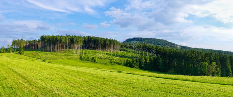 Panorama with forest stock image. Image of environment - 26177125