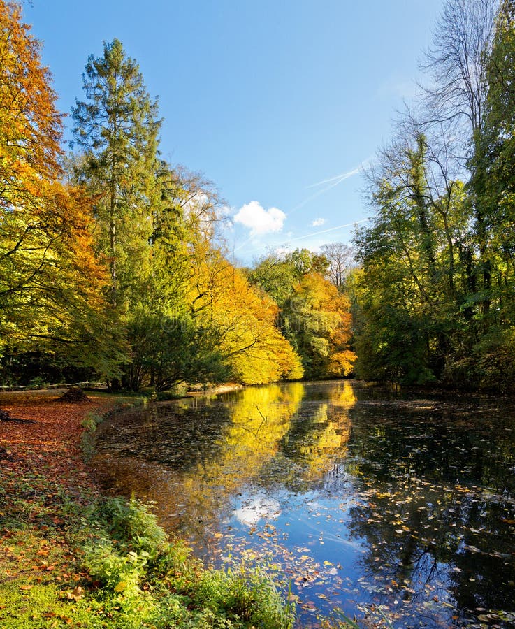 Forest and Lake Autumn Leaves Turned for Season Stock Image - Image of ...