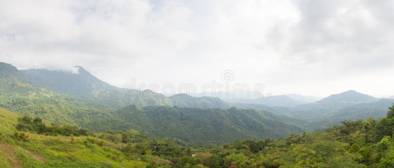 Panorama Forest and Mountain. Stock Photo - Image of hill, forest: 55344756