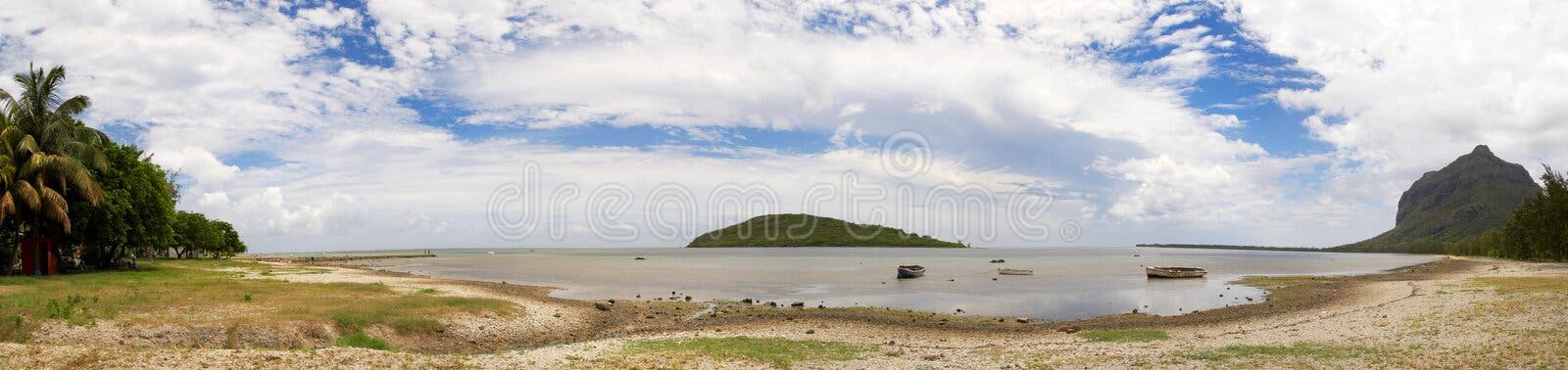 Yellow-headed Poison Frog 5 Stock Photo - Image of jungle, leucomelas ...