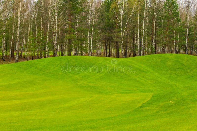 Panorama the Golf Field Nature Stock Photo - Image of bunker, lawn ...