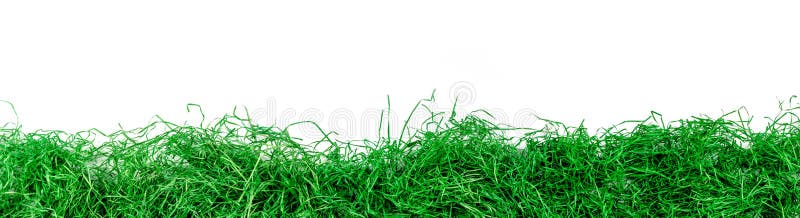 Panorama of Green Easter Grass on White Background Stock Image - Image ...