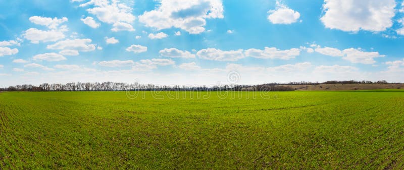 Panorama of Green Field and Blue Sky Stock Photo - Image of clean ...