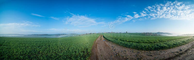Panorama of Green Field and Country Road Stock Image - Image of rural ...