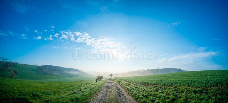 Panorama of Green Field and Country Road Stock Image - Image of spring ...