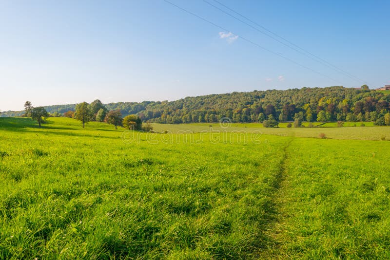 Panorama of a Green Meadow on a Hill in Sunlight Stock Photo - Image of ...