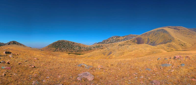 Panorama of the High Plateau in the Autumn High in the Mountains Stock ...