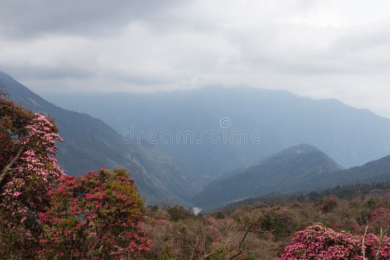Panorama of the Himalayas in Nepal Spring Stock Photo - Image of people ...