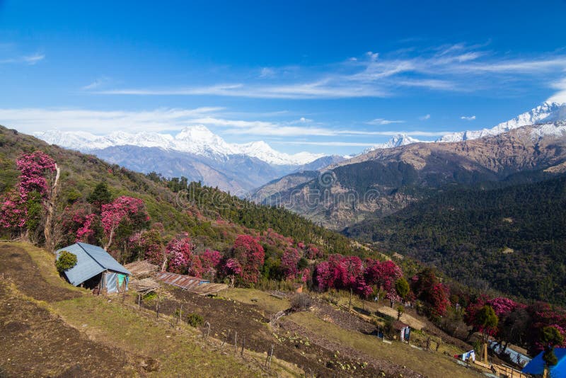 Panorama of the Himalayas in Nepal Spring Stock Photo - Image of cloud ...
