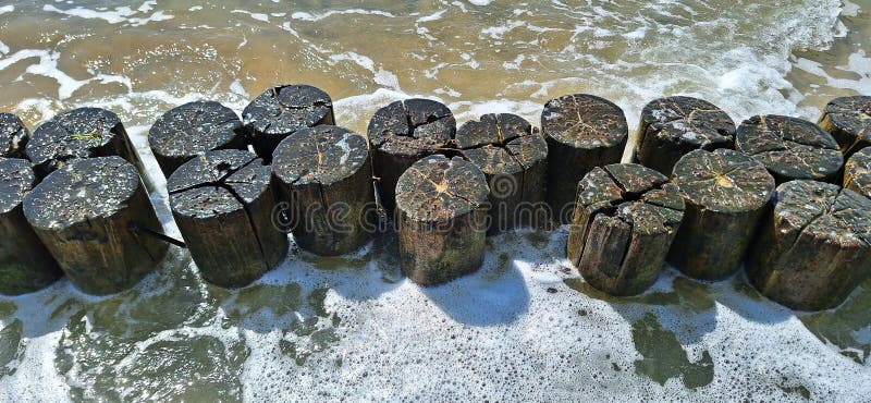 Panorama of the Logs from the Old Pier are in the Sea Stock Image ...