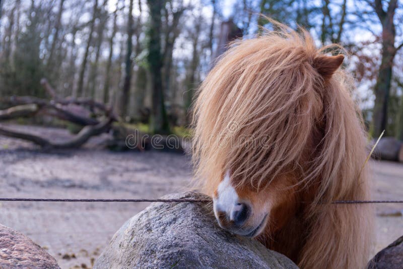 Panorama of a Long Train with Blue Wagons Stock Image - Image of engine ...