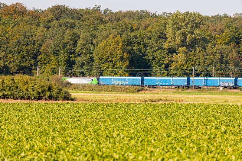 Panorama of a Long Train with Blue Wagons Stock Image - Image of ...