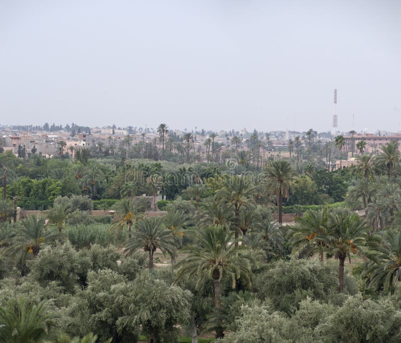 Panorama of marrakech stock photo. Image of architecture - 108650340