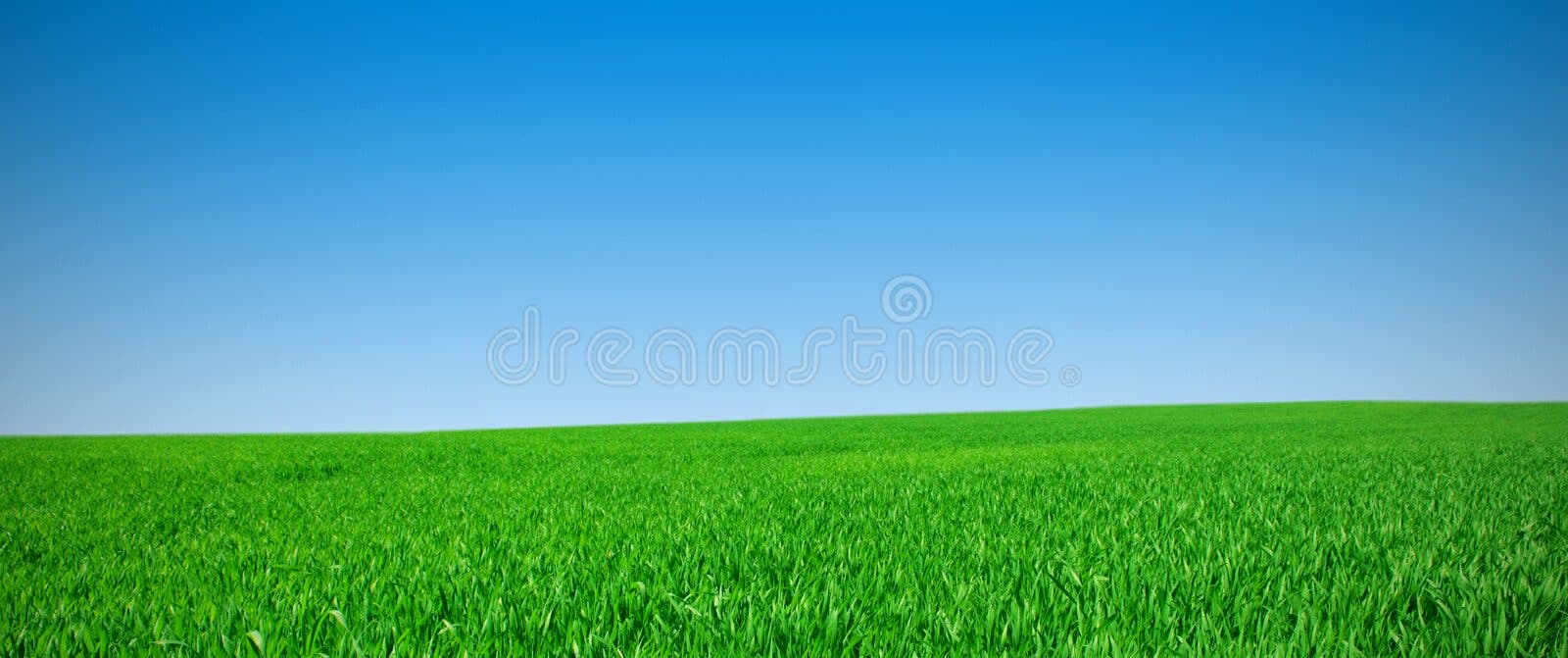 Open meadow stock image. Image of freedom, country, italy - 1211839