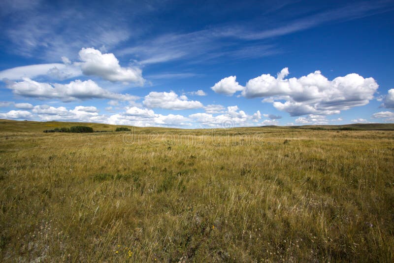 Prairie landscape and sky stock image. Image of lawn - 21508269